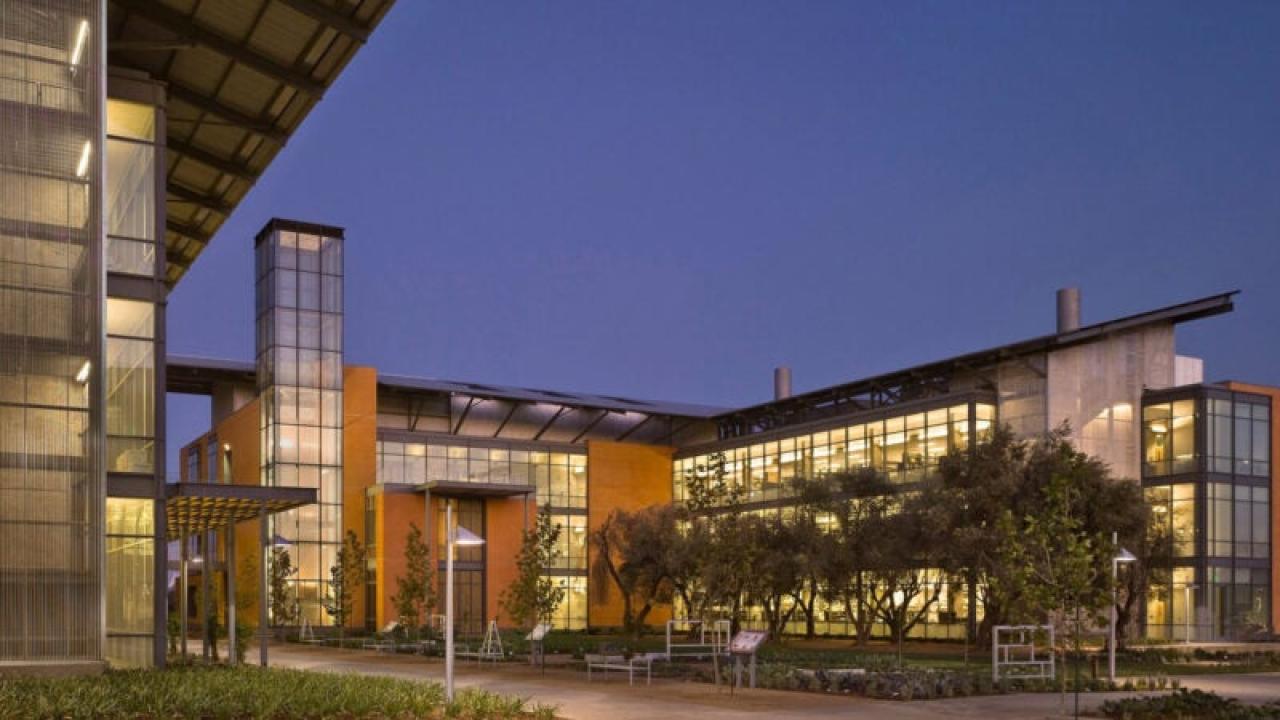 Our Research | Montpetit Lab